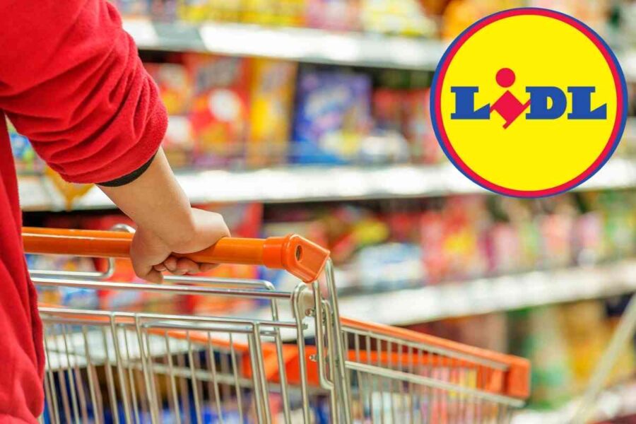 Lidl ti rifà la casa da cima a fondo con due lire: offerte imperdibili ...
